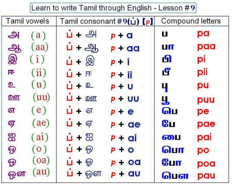 Tamil Letters For Beginners | Free & HD!
